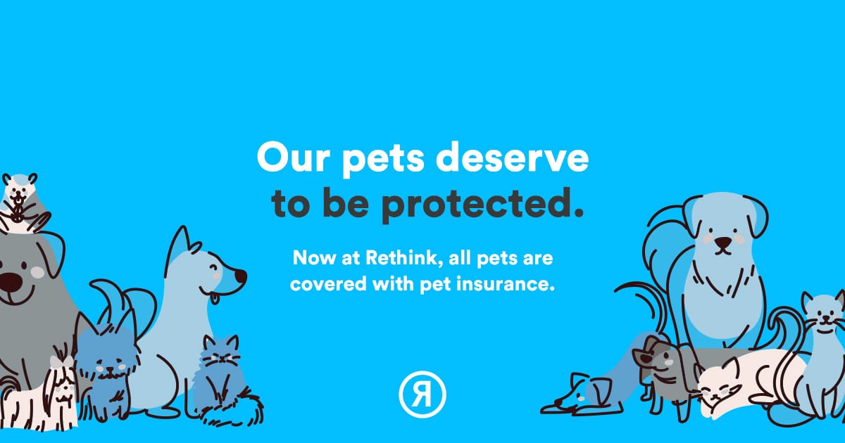 Rethink Pet Insurance
